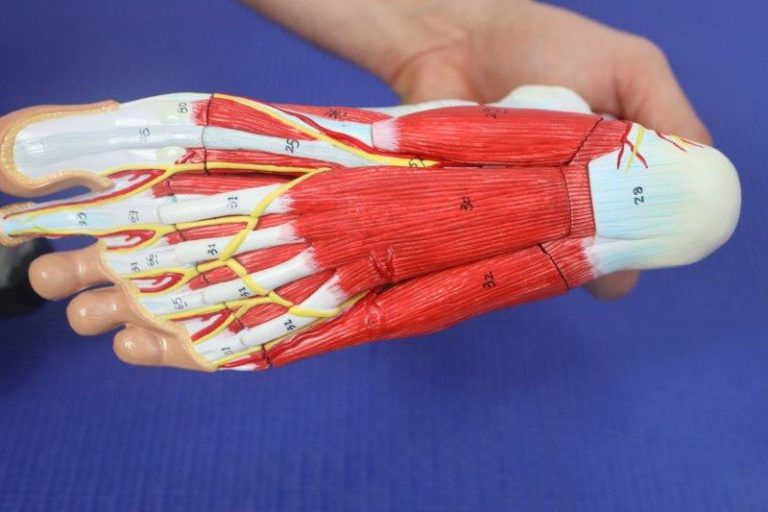 7 Best Causes of Middle Toe Pain & Relief Options - Balance Foot & Ankle