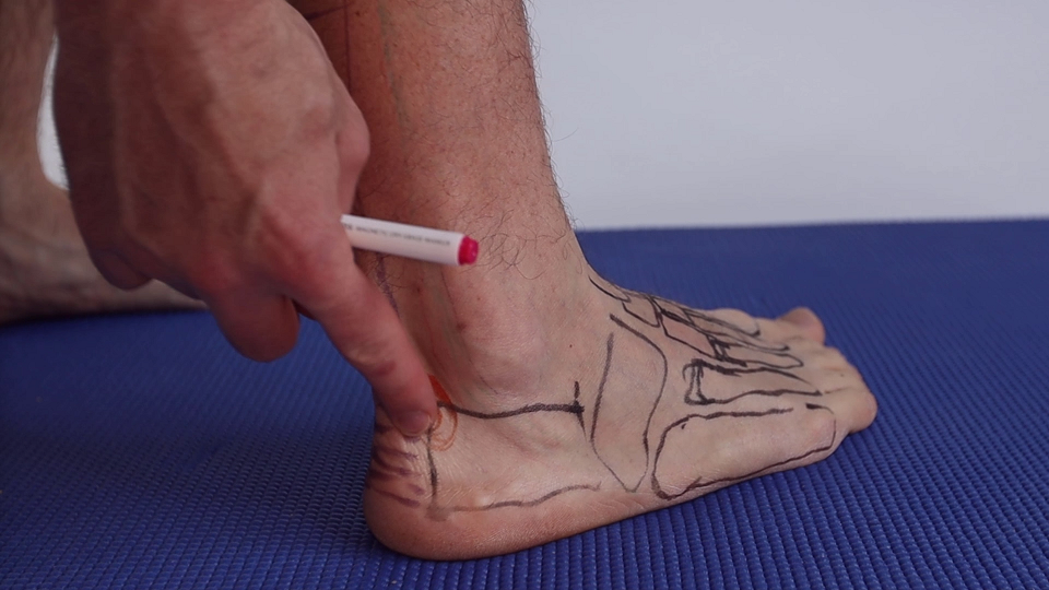 Are Your Shoes Rubbing the Heel or Back of the Ankle [Best Treatment]